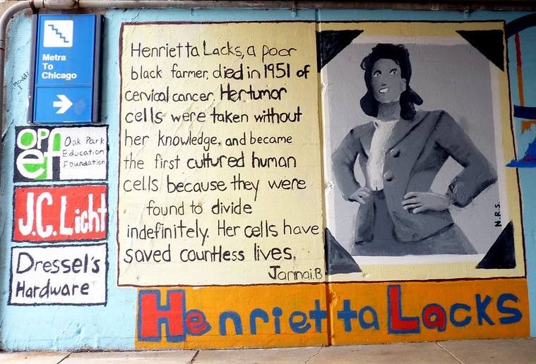Justice for Henrietta Lacks | Center for Genetics and Society