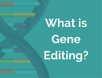 What is Human Gene Editing? | Center for Genetics and Society